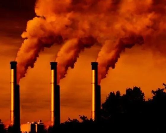 Το αυξημένο διοξείδιο του άνθρακα περιορίζει τη λήψη θρεπτικών ...